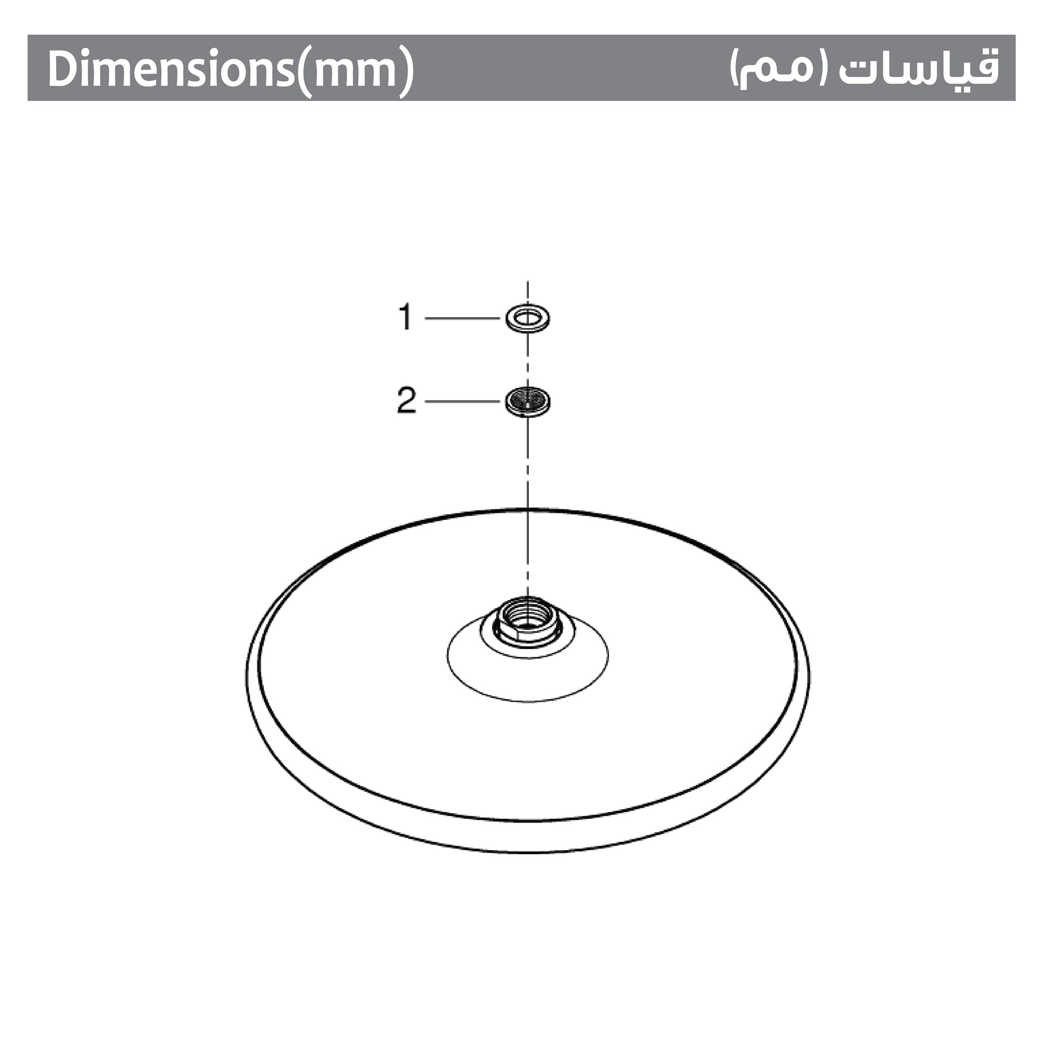 GROHE TEMPESTA 250 Head shower 1 spray| Kharma